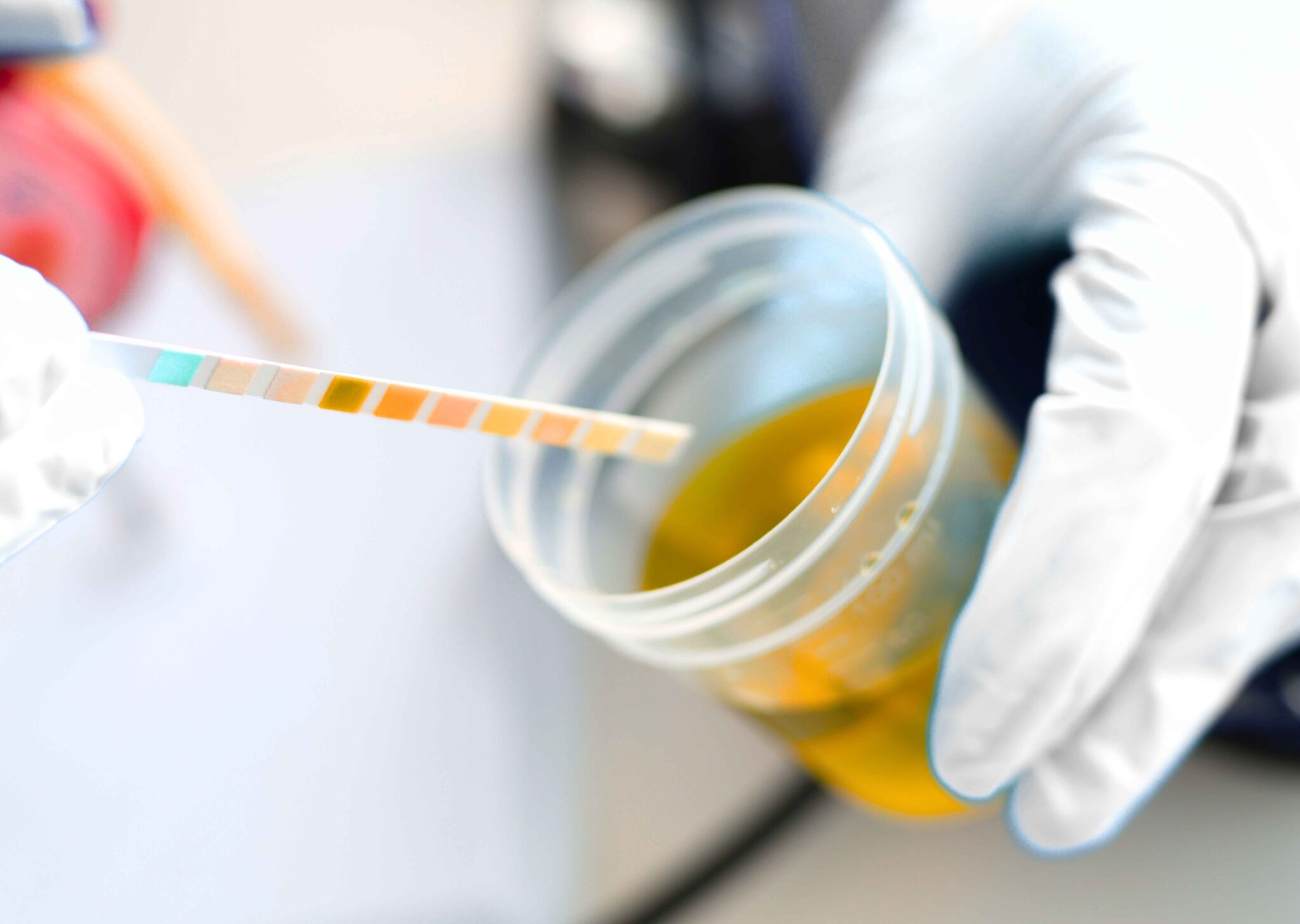 Everything You Need to Know About Synthetic Pee